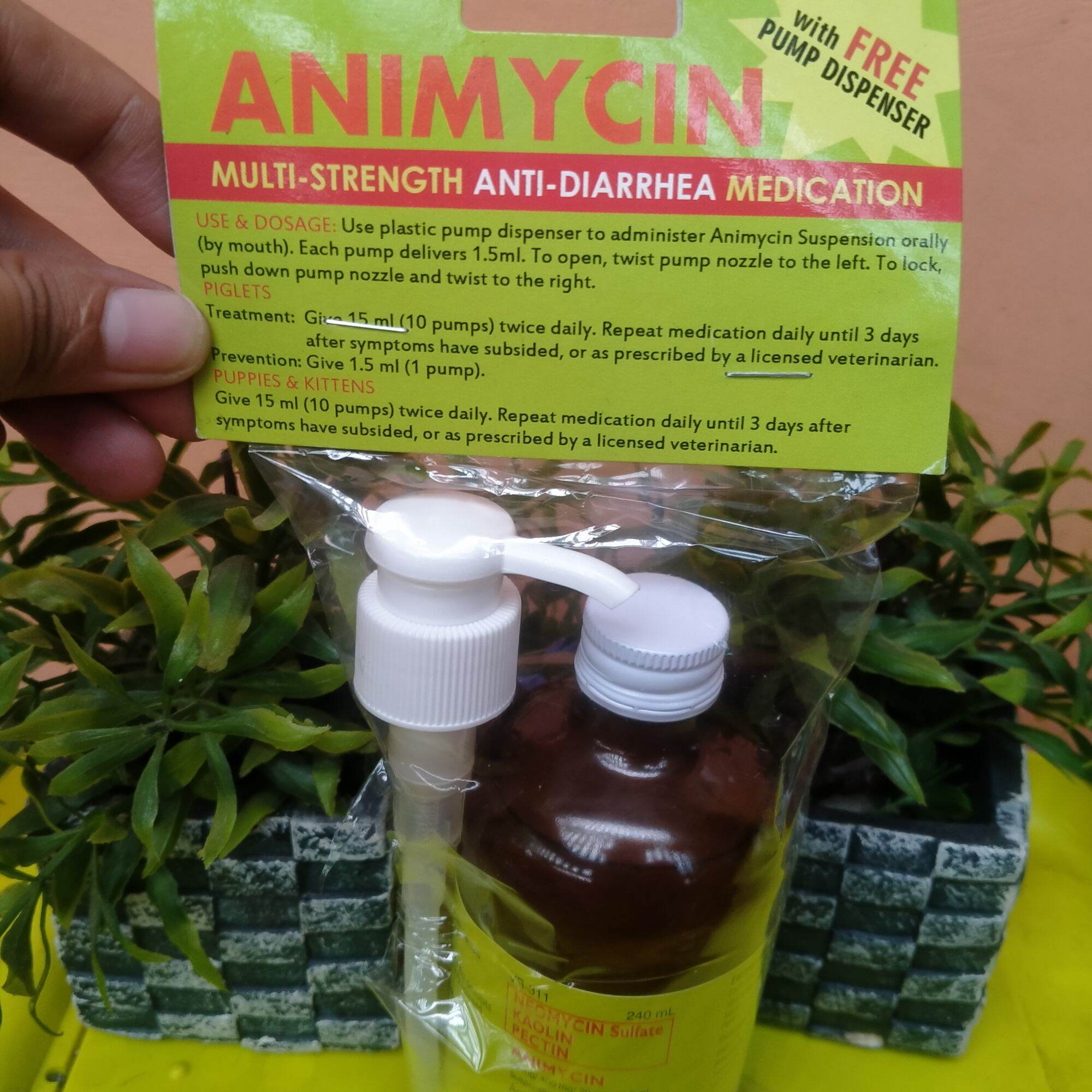 Animycin Anti Diarrhea 240ml | Lazada PH