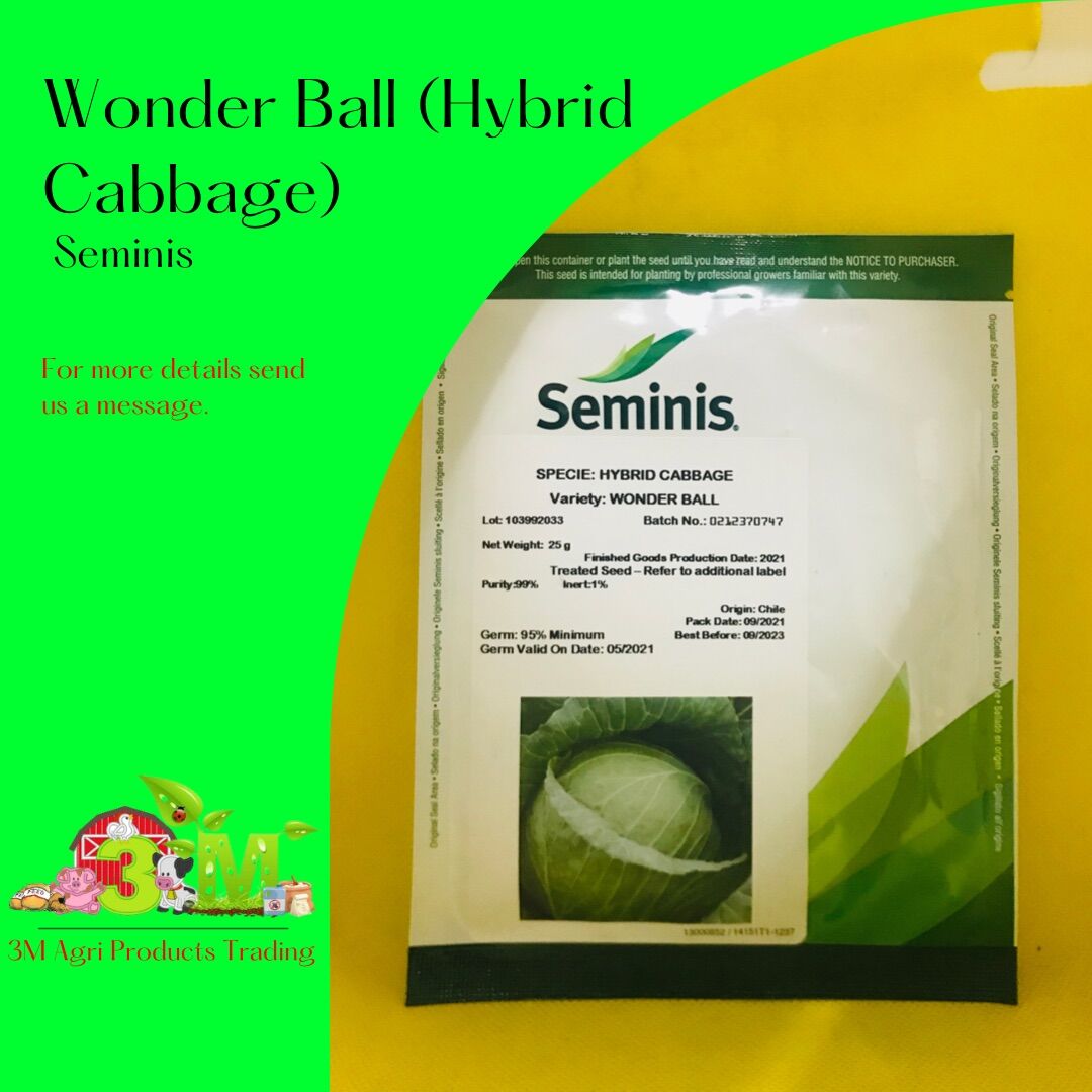 Wonder Ball 25g (Hybrid Cabbage) | Lazada PH