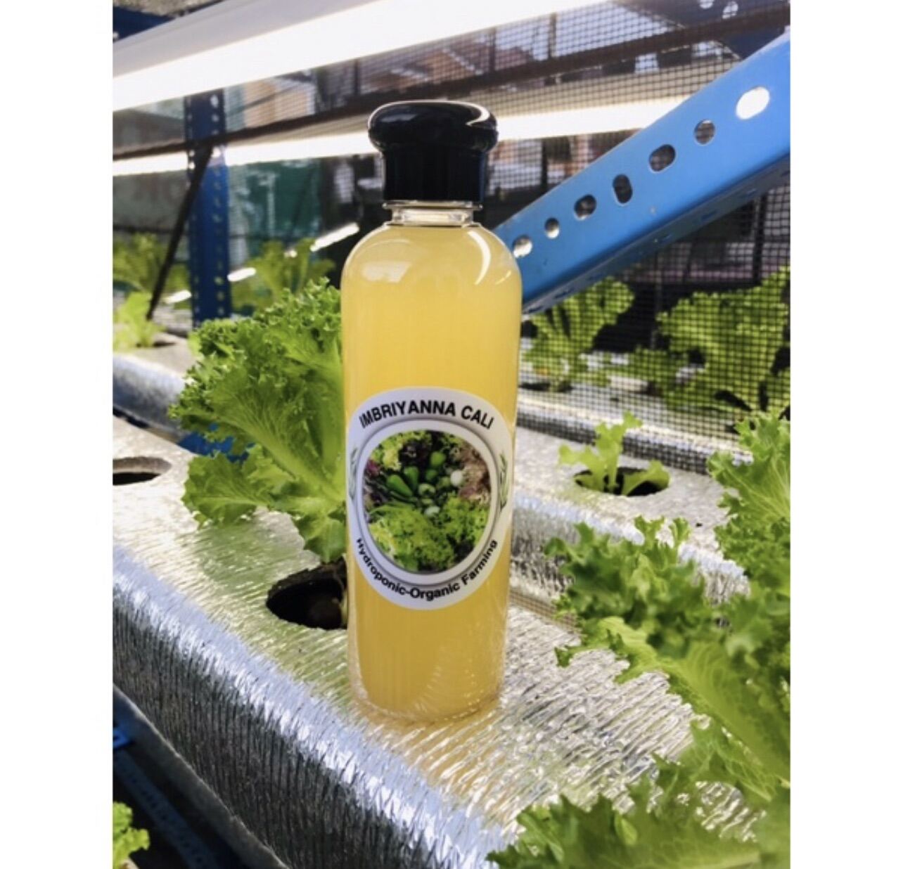 CALPHOS Foliar Fertilizer 250ml | Lazada PH