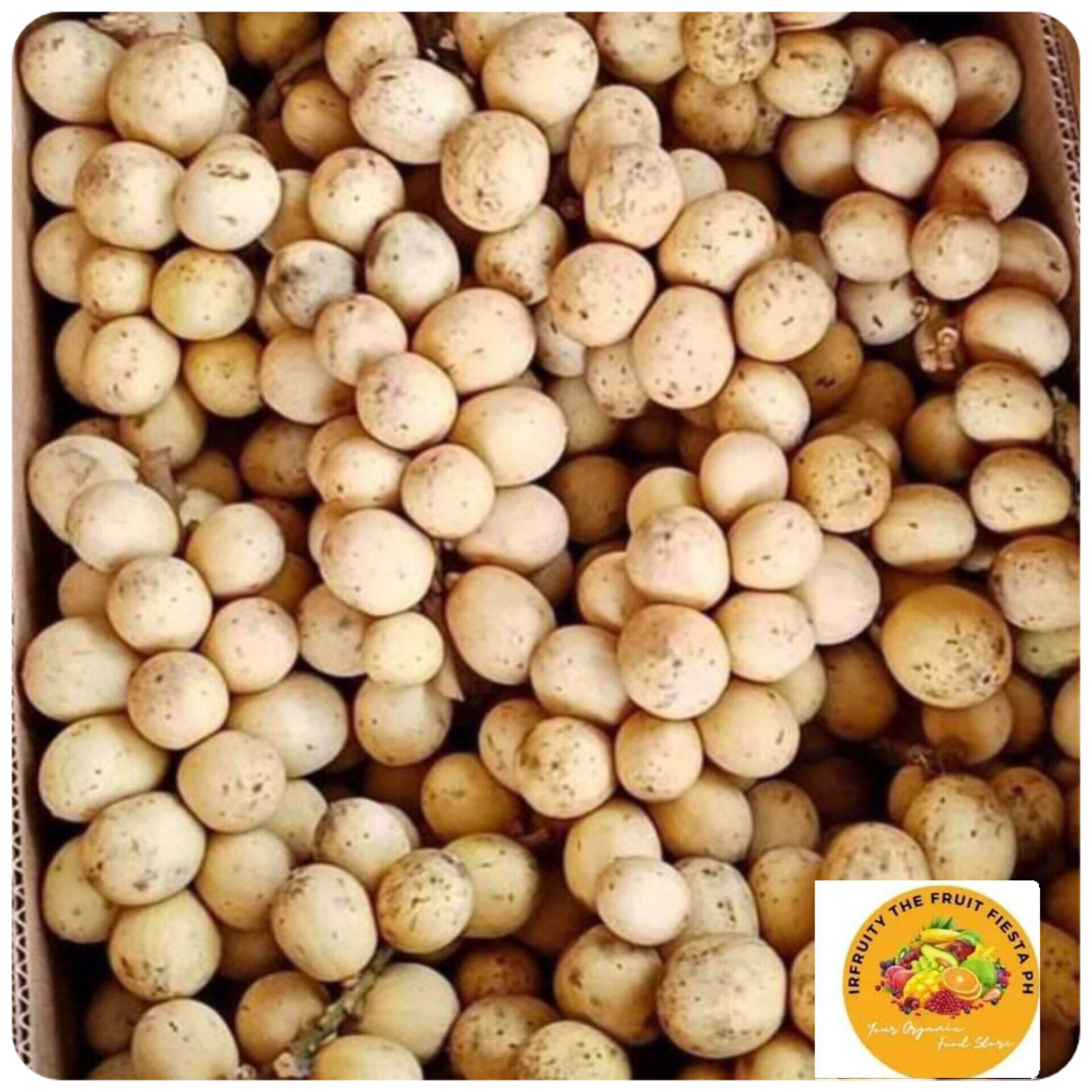 Lanzones Laguna Sweet & Fresh ₱480 for 1kilo (With high vitamin C ...