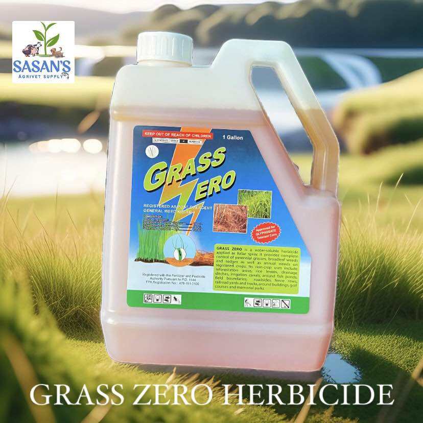 GRASS ZERO HERBICIDE 1 GALLON | Lazada PH