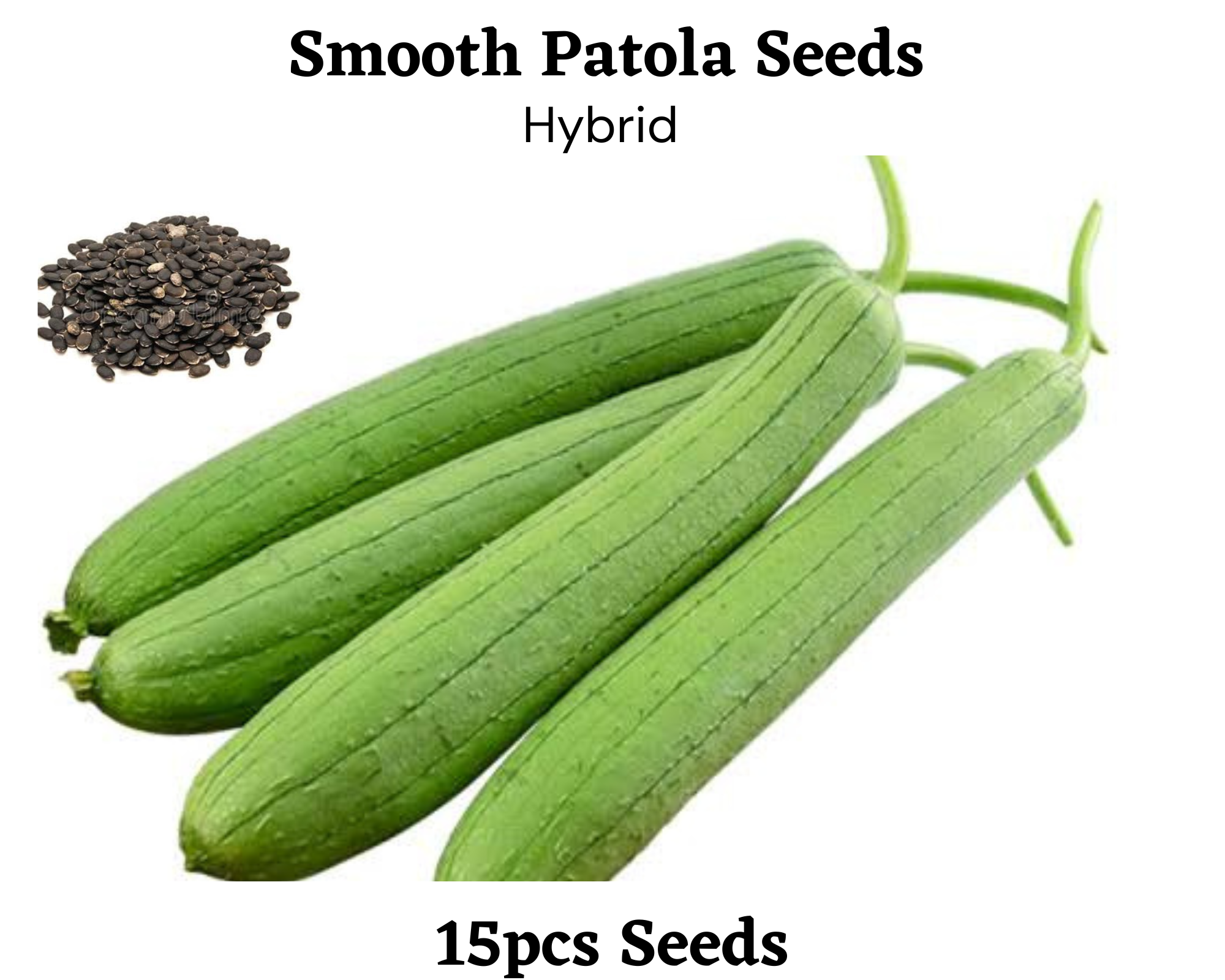 Smooth Patola / hybrid ( 5 SEEDS ) - 1Pack | Lazada PH