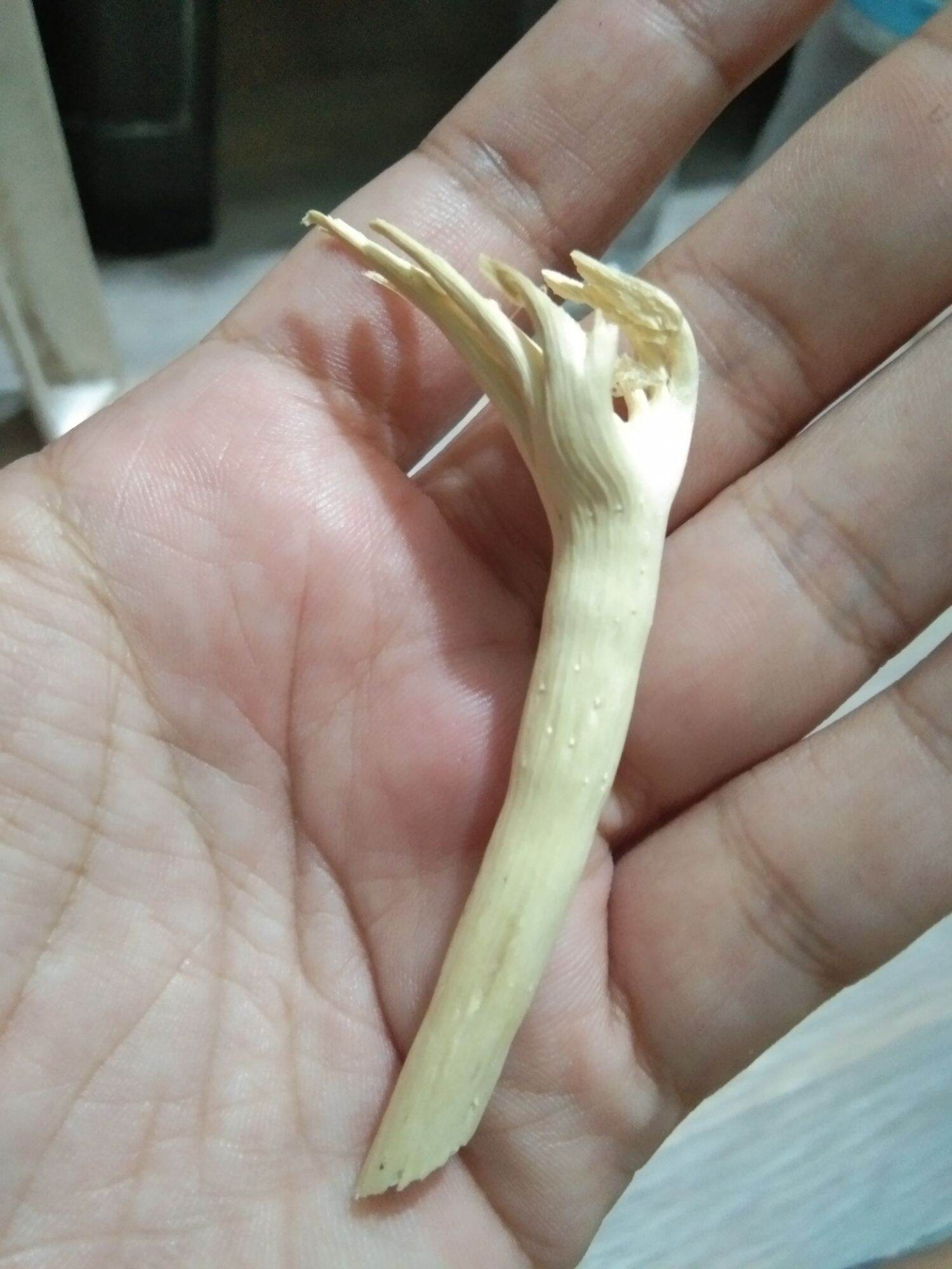 Tagupaypay swerte sa negosyo, trabaho, etc | Lazada PH