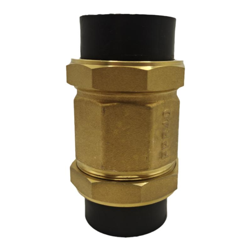 PE Pipe Brass Check Valve Internal and External Thread 1-Inch ...