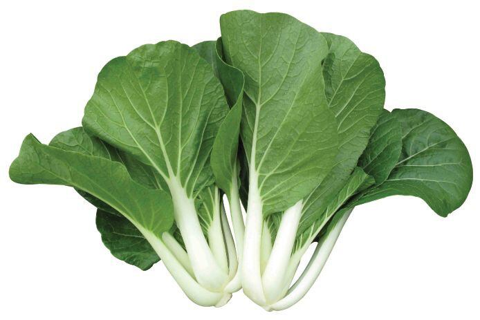Pechay Pavito ( 500 SEEDS ) - 1 Pack | Lazada PH
