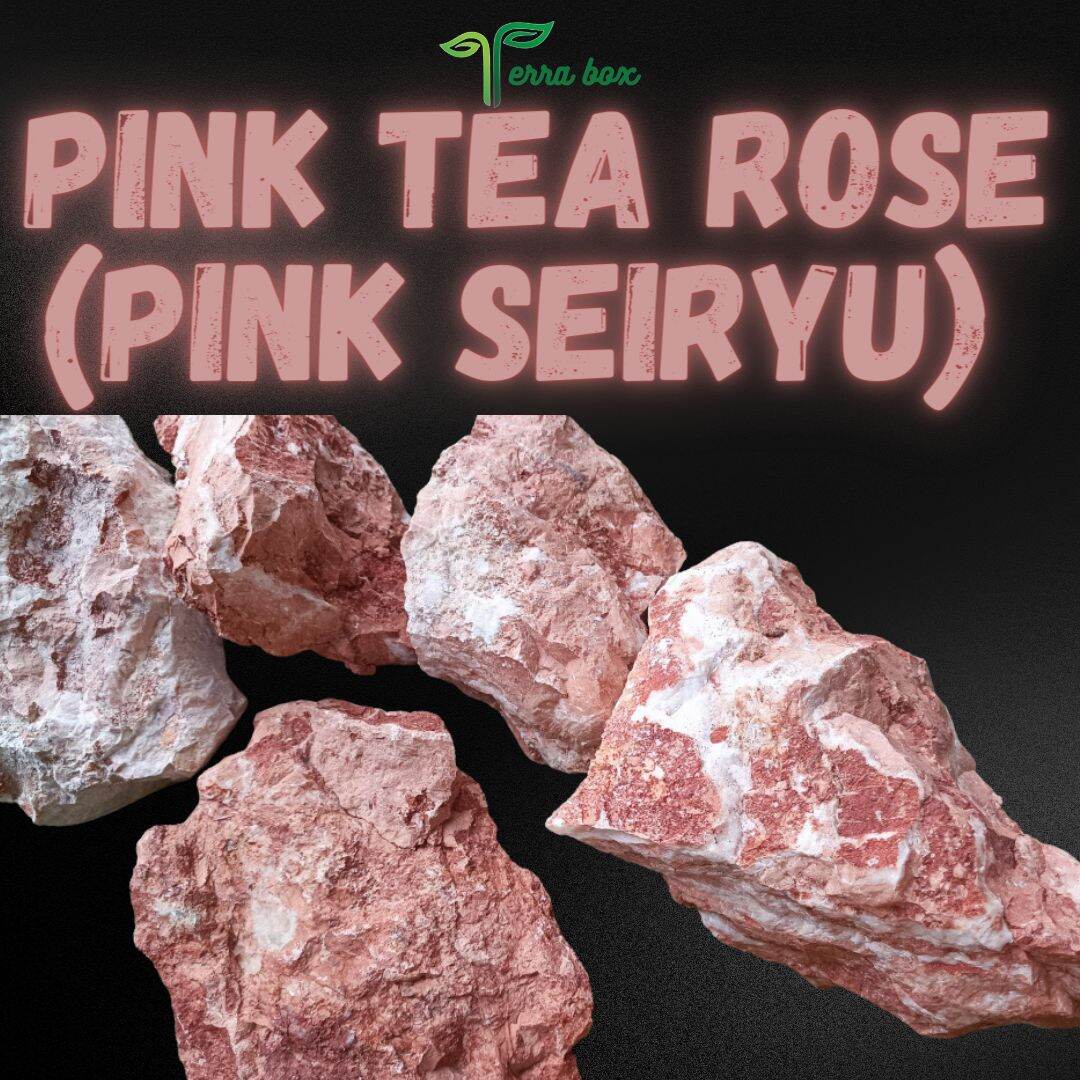 DRAGON STONE, RYUOH STONE AND BLACK SEIRYU STONE PINK TEA ROSE FOR ...