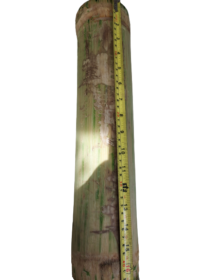 ALKANSYA BAMBOO IPON CHALLENGE | Lazada PH