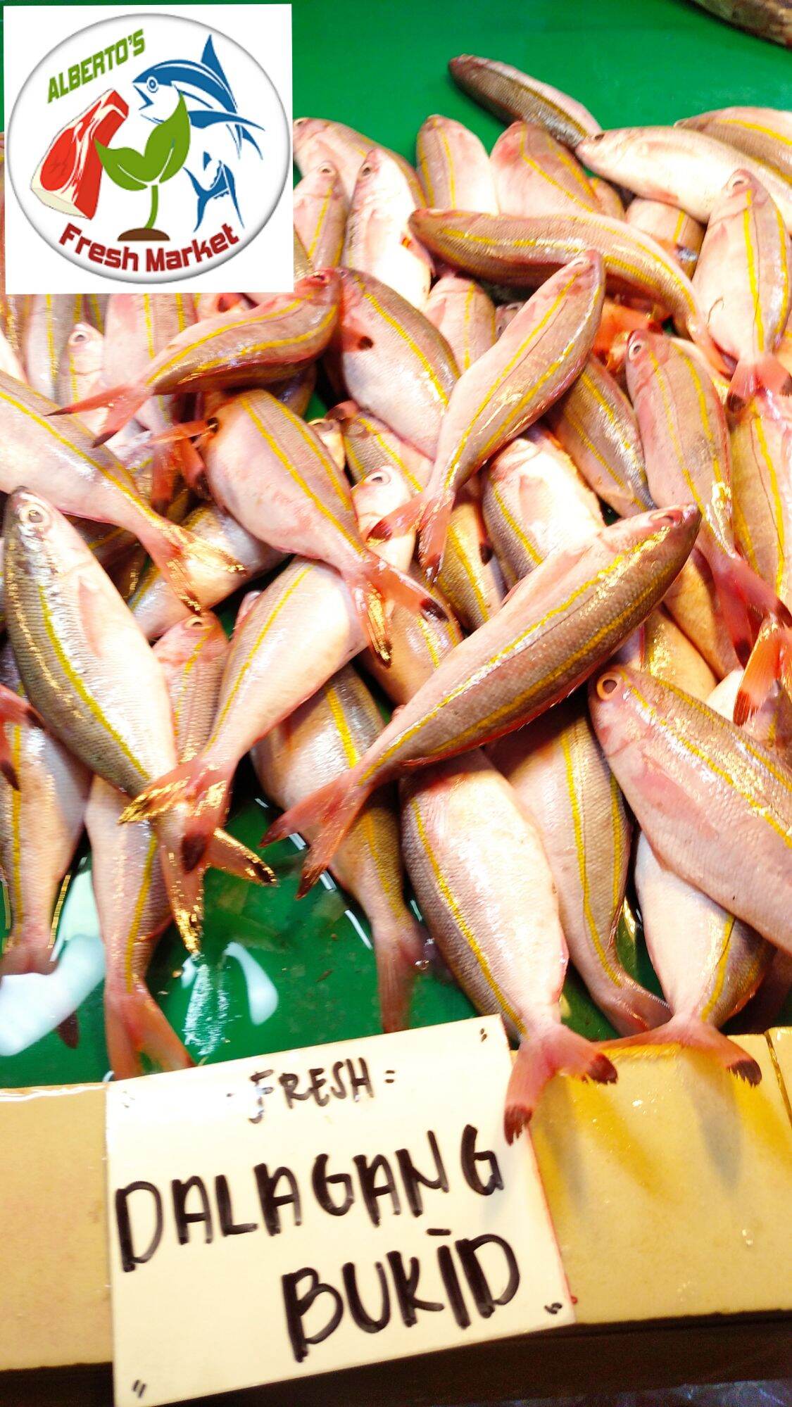 FRESH DALAGANG BUKID ( BILOG) 500g | Lazada PH
