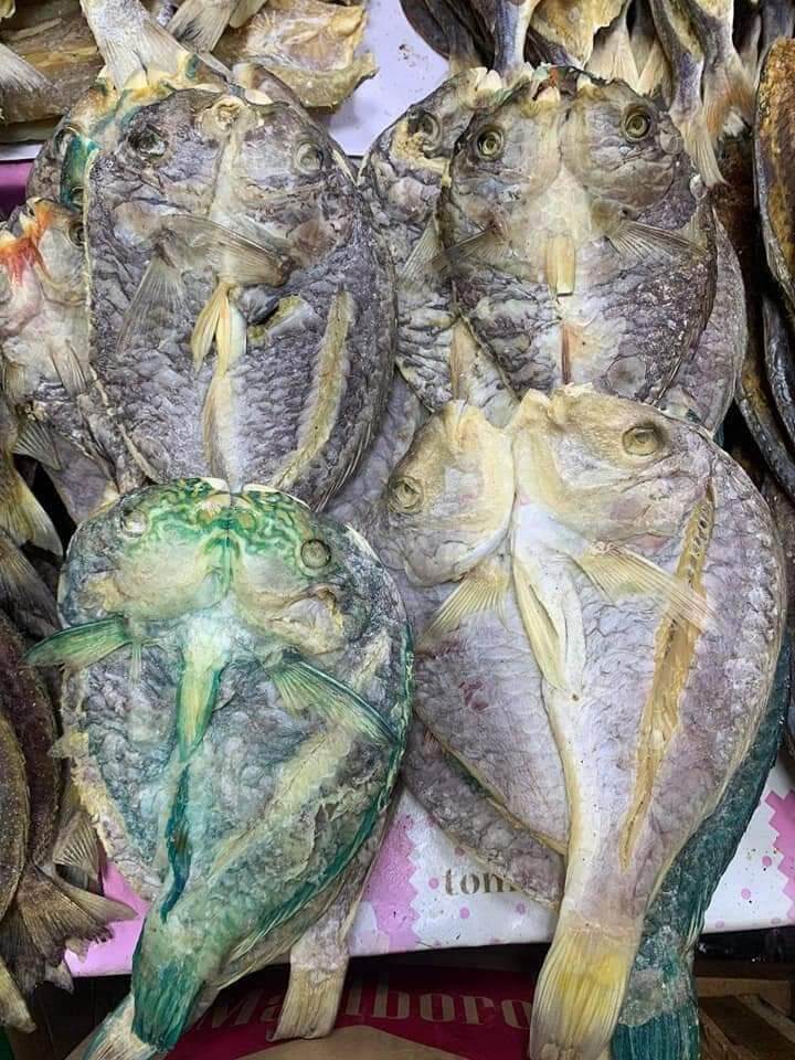 ISDANG BATO - DRIED FISH (1 KILO) | Lazada PH