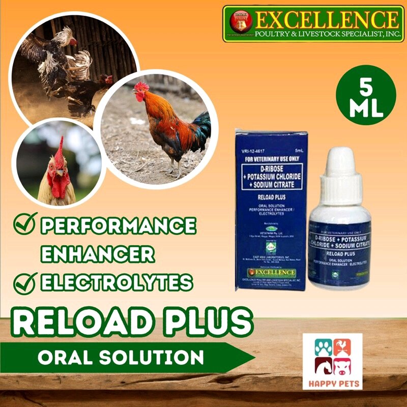 Reload Plus dor Fighting Cocks, Conditioning 5ml | Lazada PH