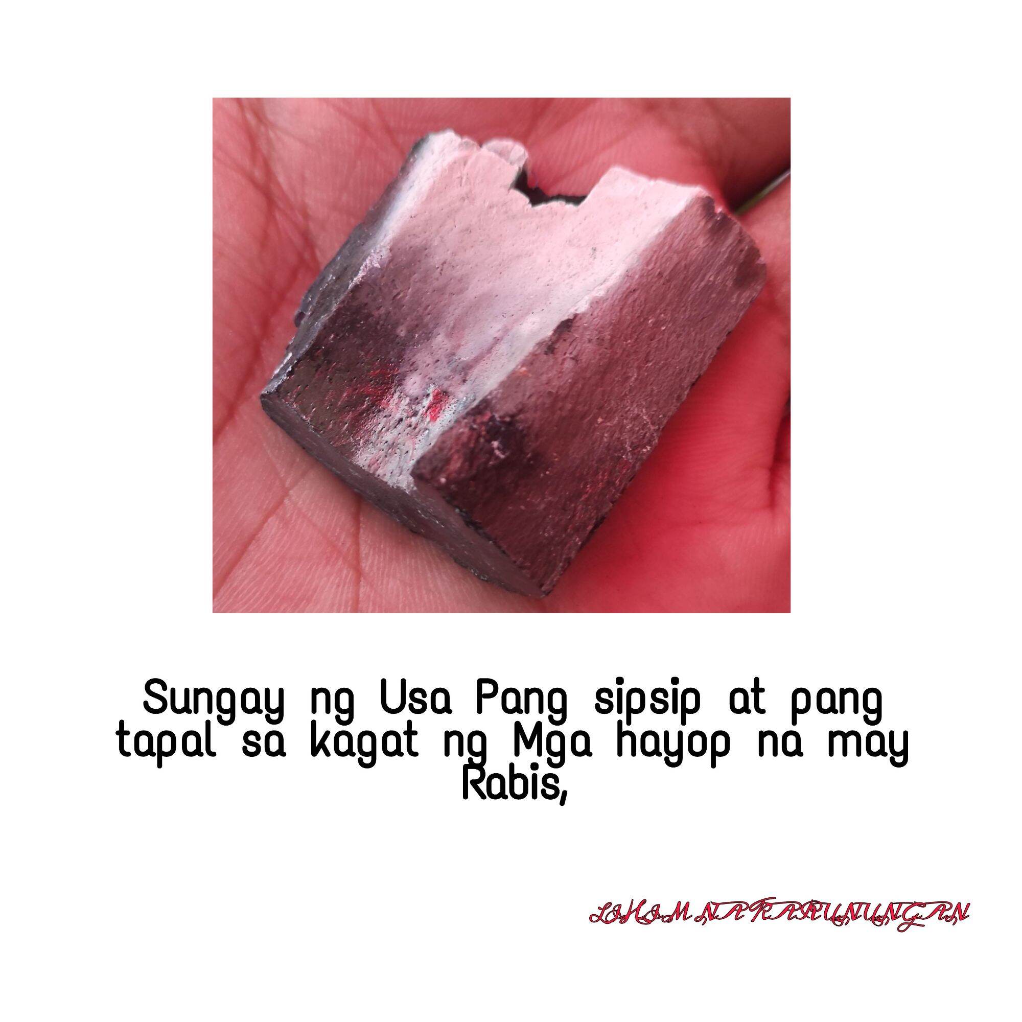 Sungay na Usa na Sinunog ,Pang tapal sa mga Kinagat ng Ensecto o hayop ...