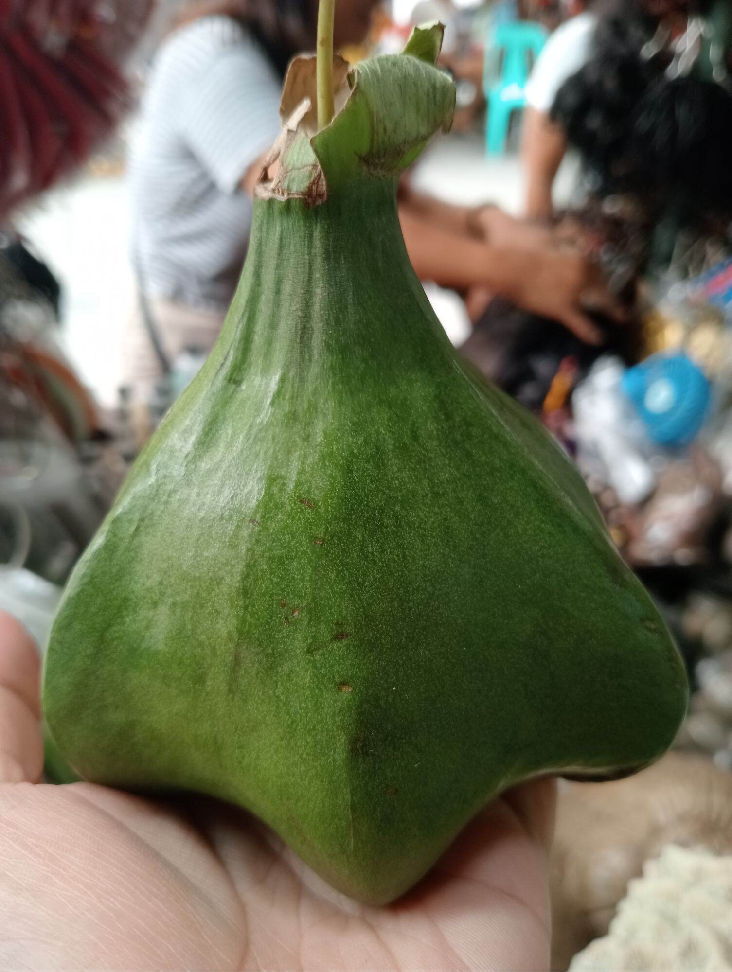 mala bituin nakakagamot sa goiter at mga bukok | Lazada PH