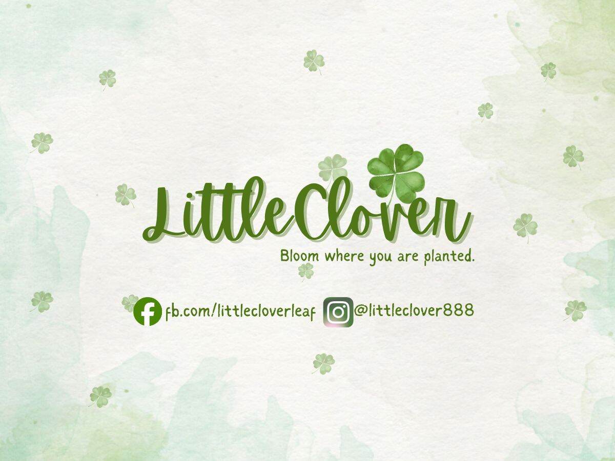 Little Clover Philippines Official Online Store | Shop Now on Lazada