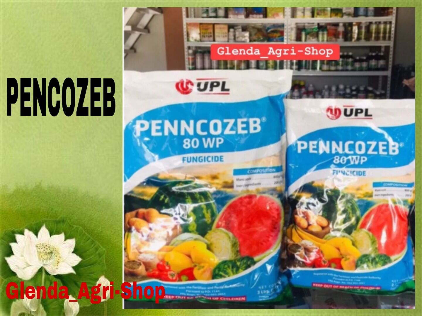 PENCOZEB 80WP FUNGICIDE ( 1 kg ) | Lazada PH