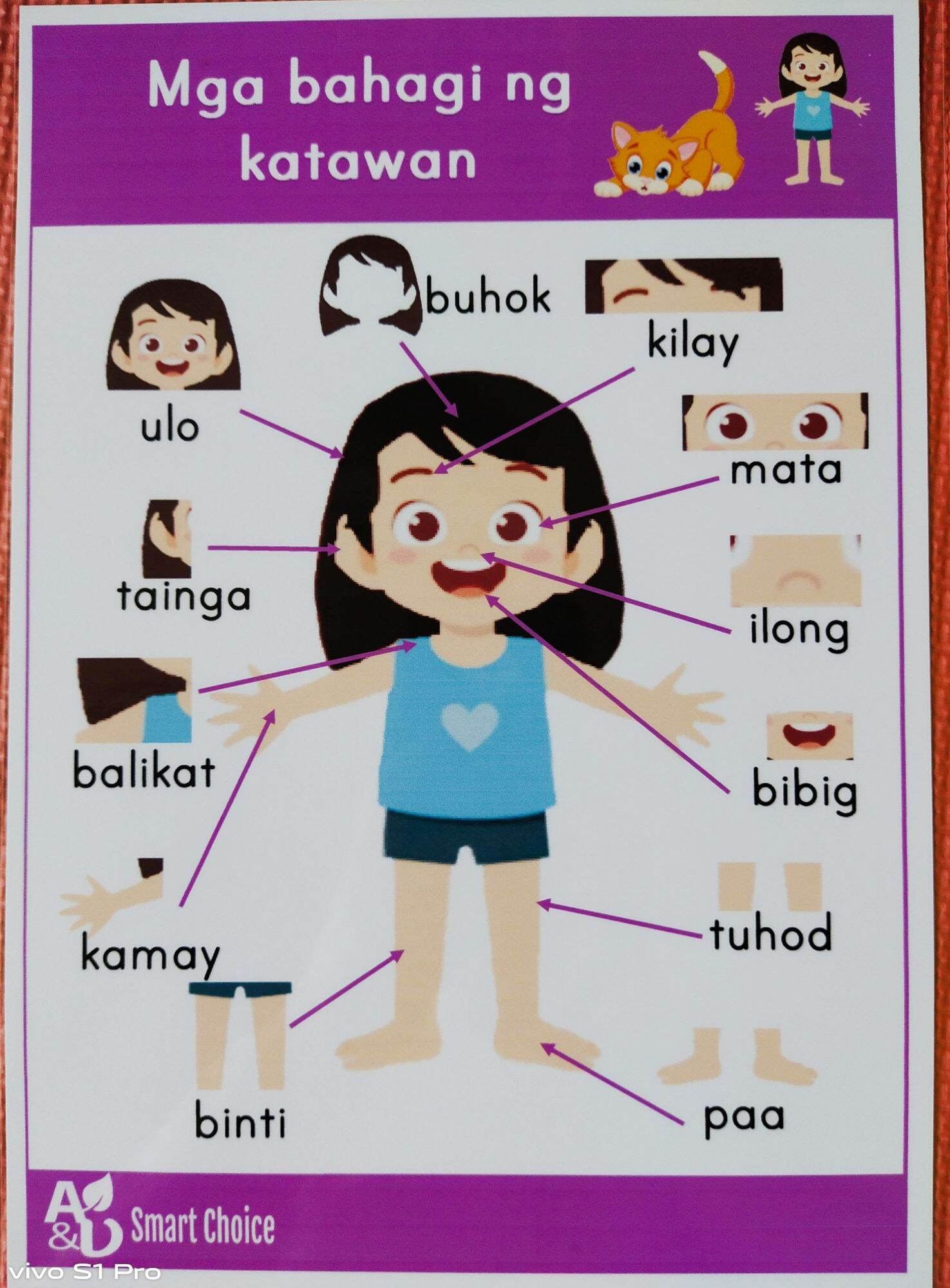 Laminated Educational Chart English, Filipino and Math A4 Size | Lazada PH