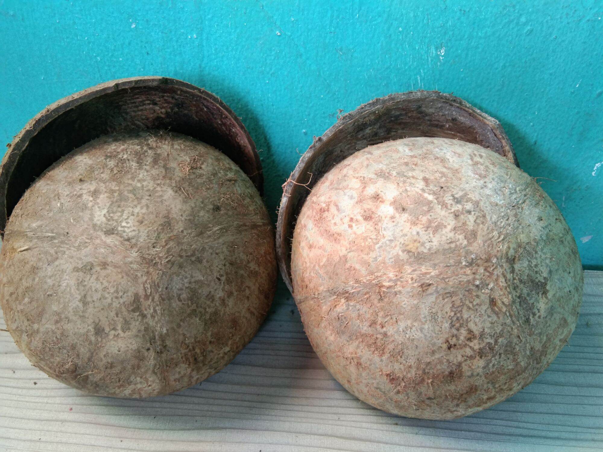Bao Ng Niyog Na WALANG MATA 1pair Lazada PH