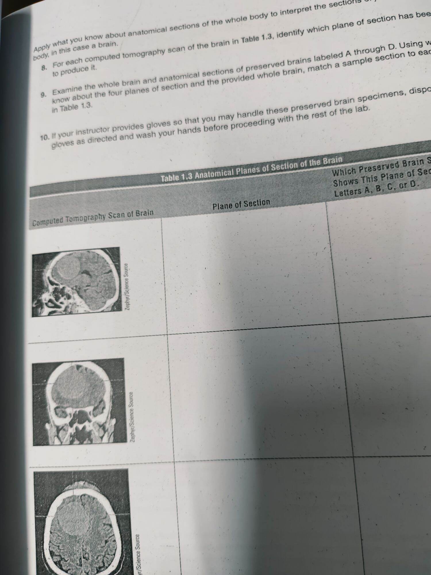 Anatomy & Physiology By: Elizabeth Mack Co C2024 | Lazada PH