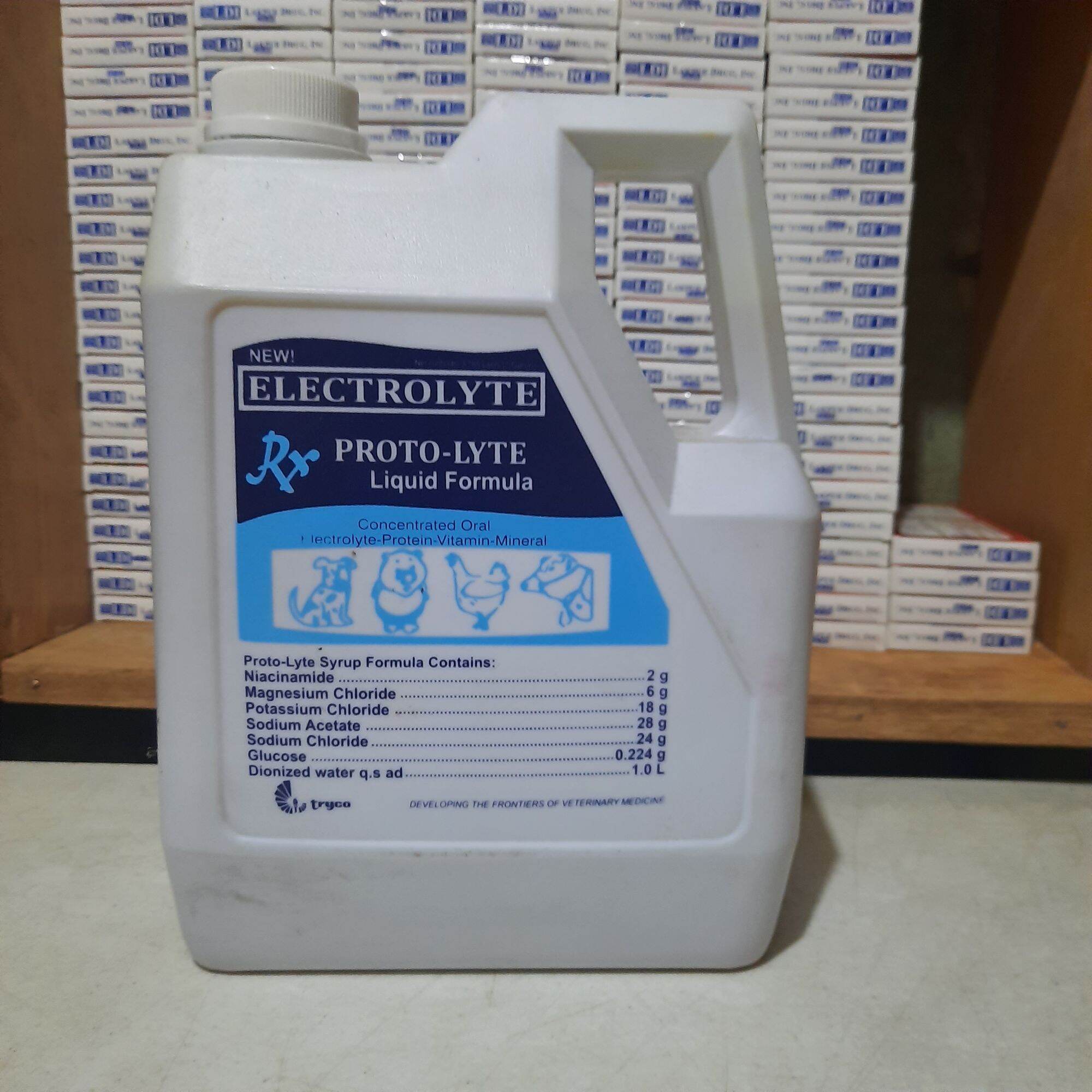 Electrolyte Proto- lyte 1 galon | Lazada PH