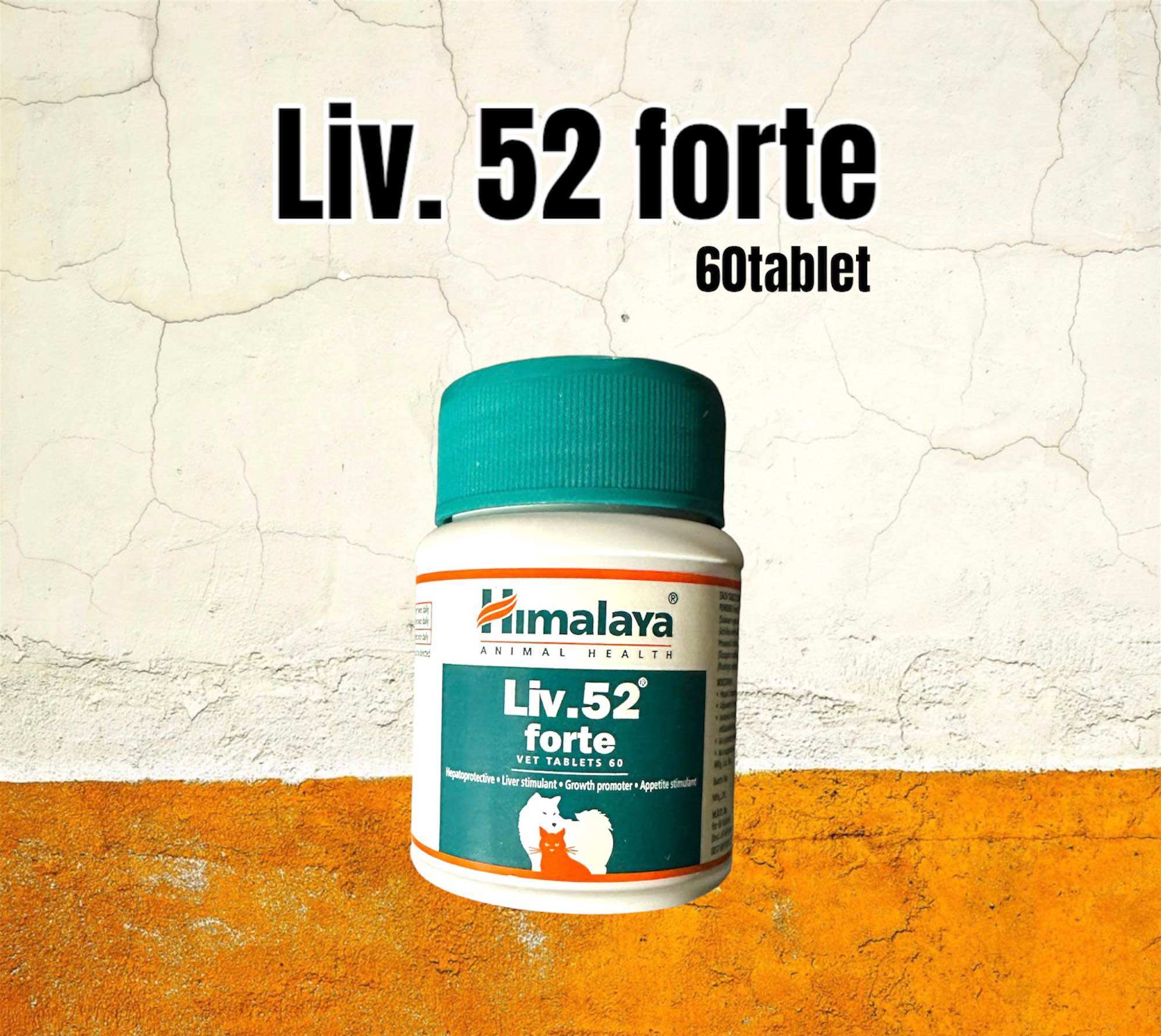 Liv 52 Forte 60 tablets | Lazada PH