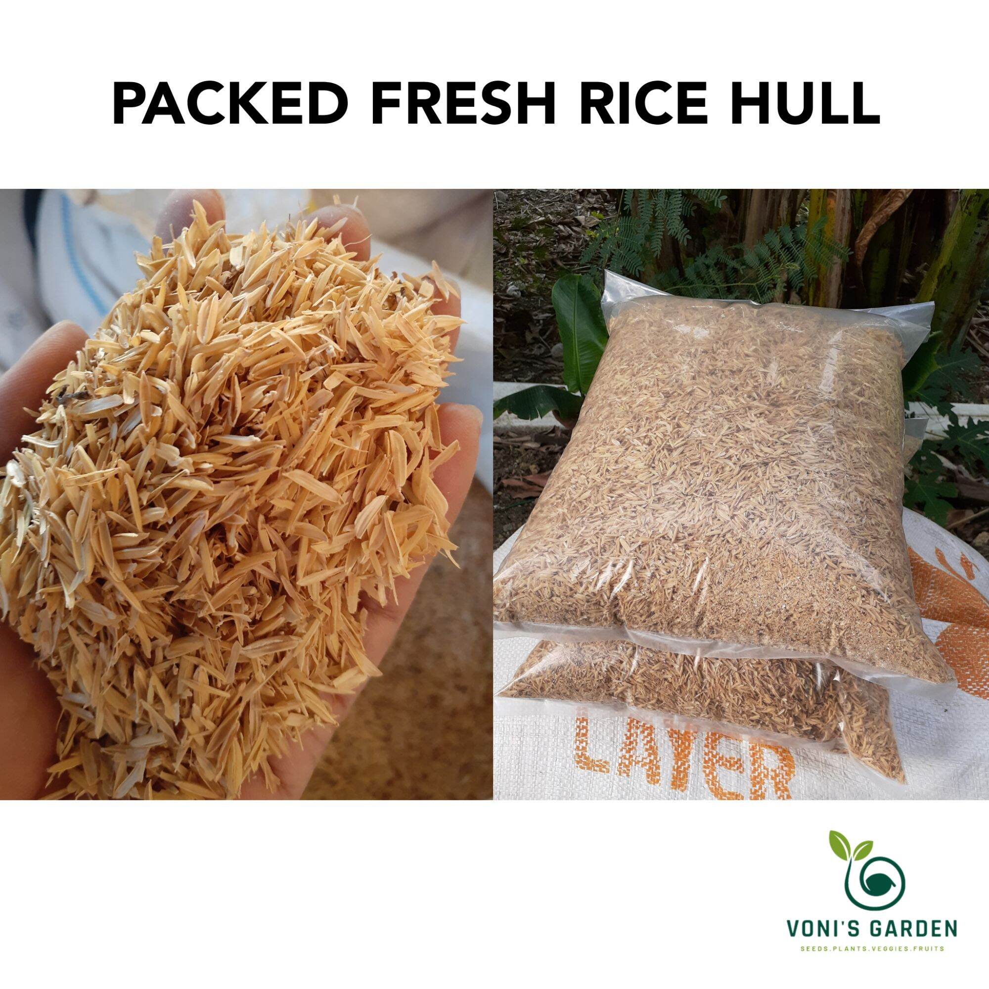 1KG Packed Fresh Pure Rice Hull | Rice Husk for Plants | Fresh Ipa ...