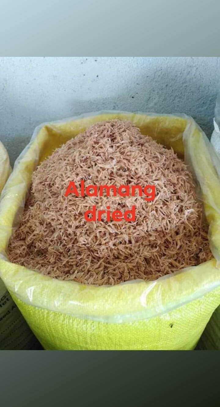 Dried Hipon Alamang 1 KILO | Lazada PH