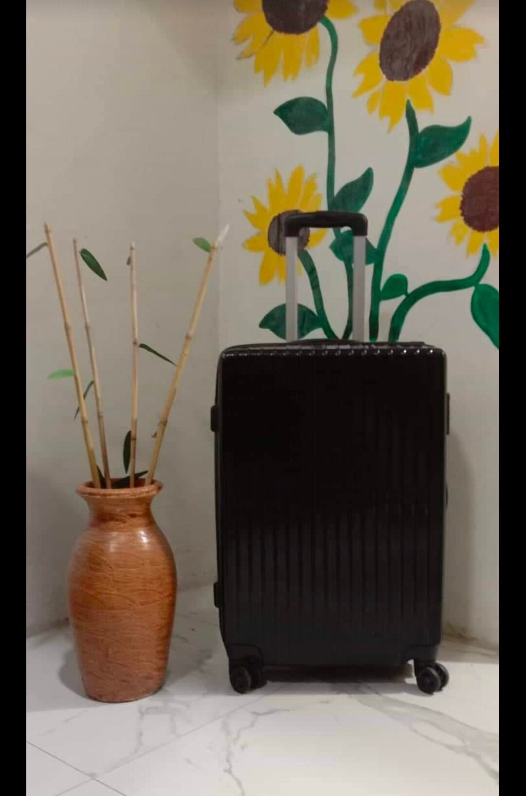 luggage bag | Lazada PH