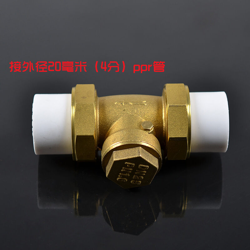 PPR Check Valve Copper Horizontal Vertical Check Valve Check Valve ...