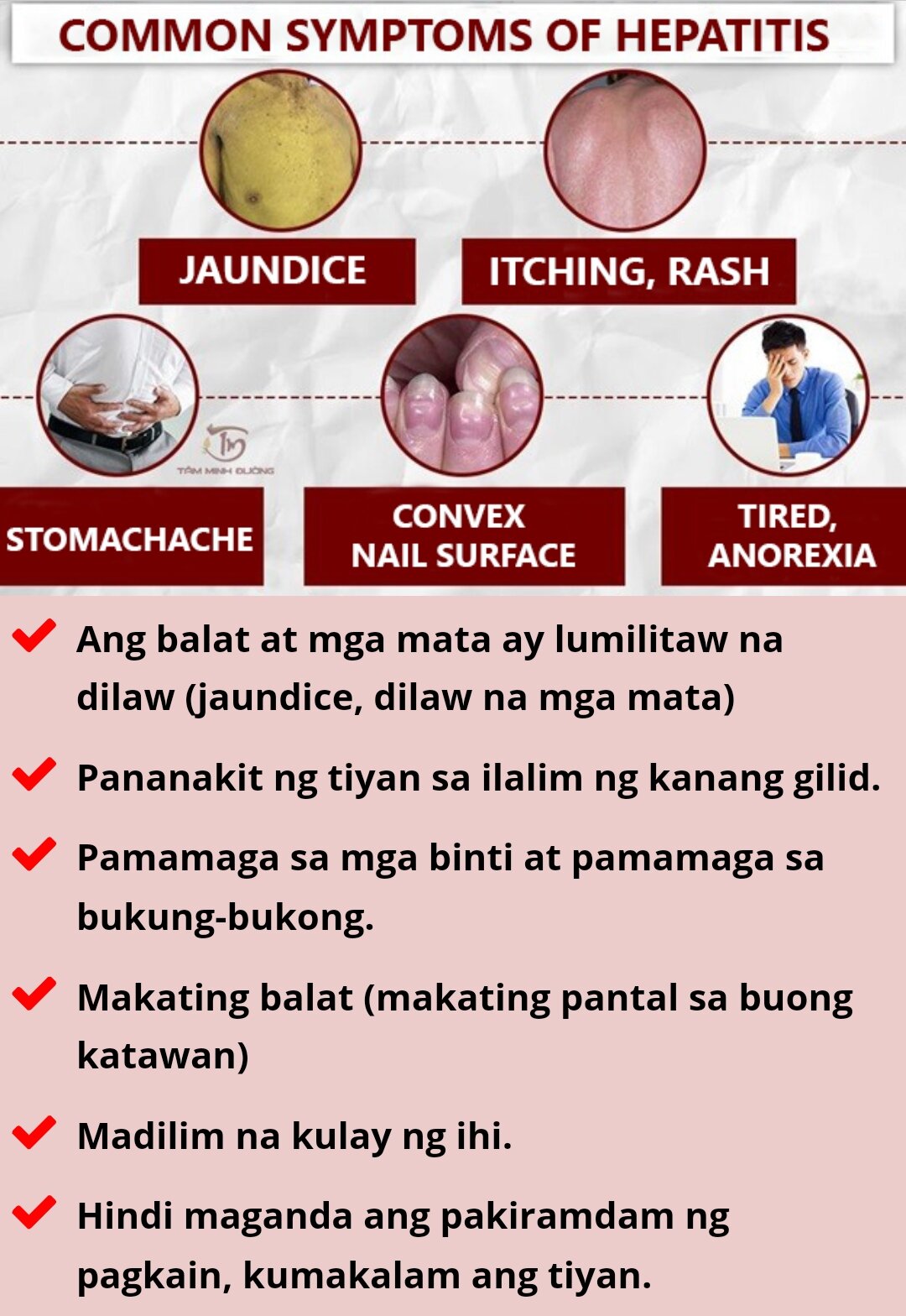 FOHEPTA MILK 200g (Helps prevent liver diseases such as cancer ...