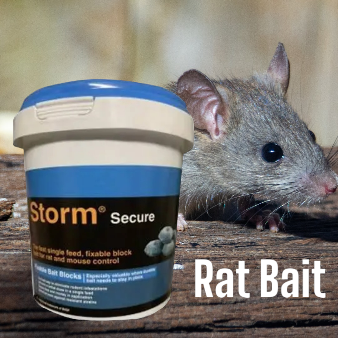 STORM SECURE RAT BAIT wax blocks Rodenticide | Lazada PH