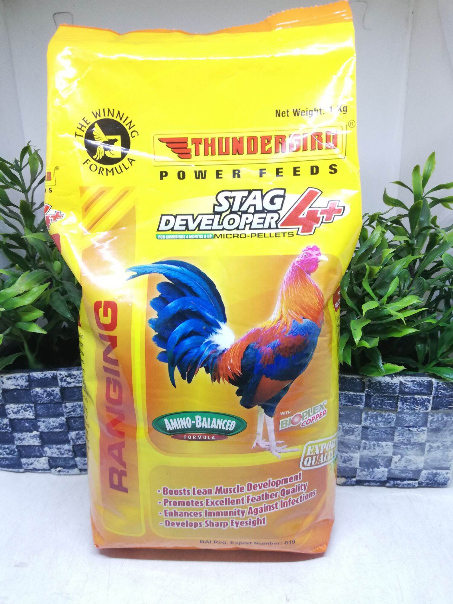 Thunderbird Stag Developer 4+Micro - Pellets | Lazada PH