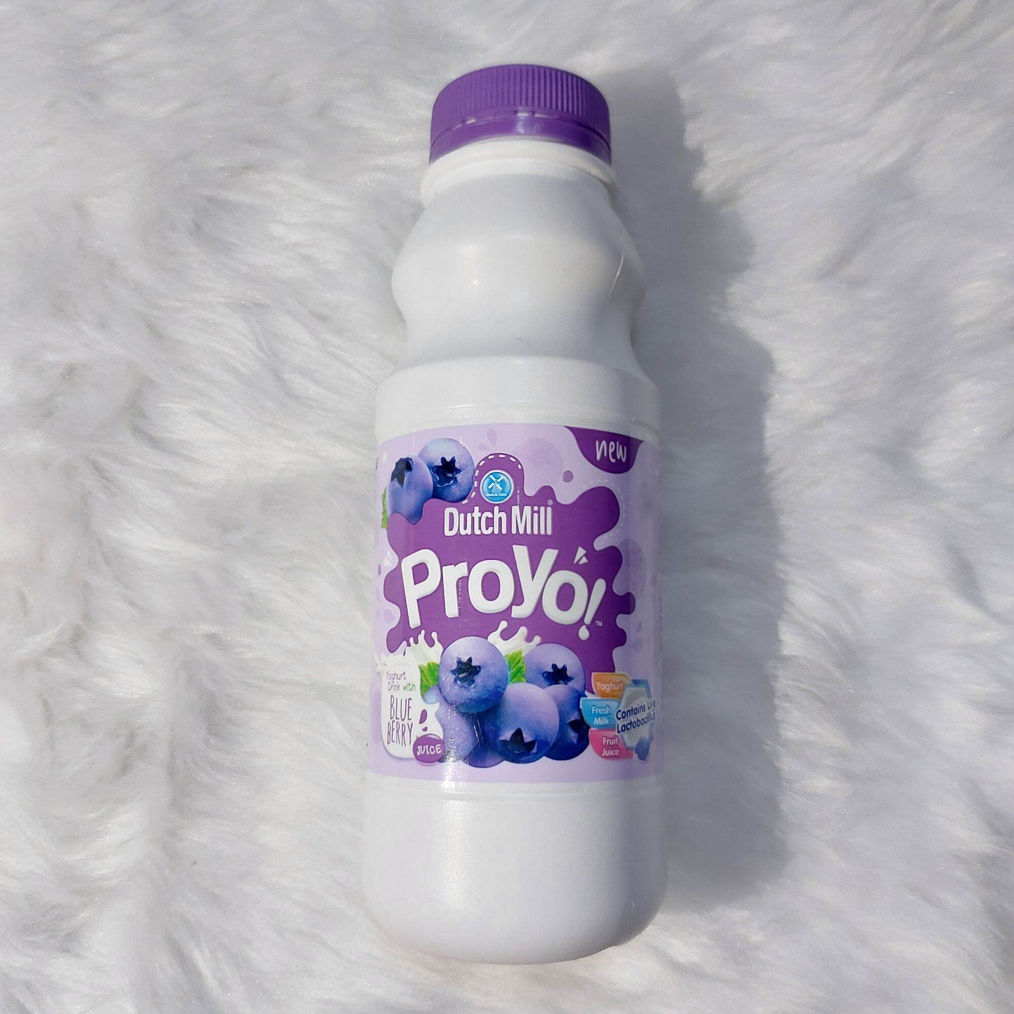 Dutch Mill Delight / Proyo Strawberry Blueberry 400ml | Lazada PH