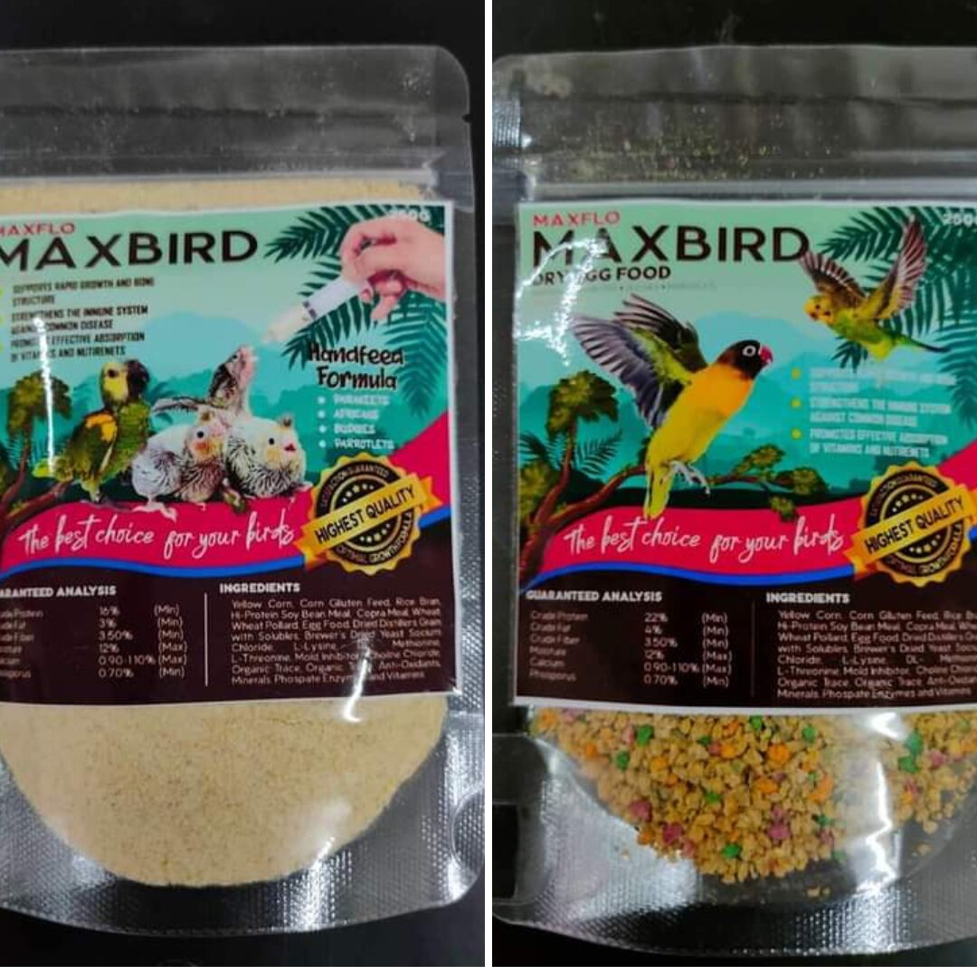 Maxflo maxbird food for juvy and adult 50g | Lazada PH