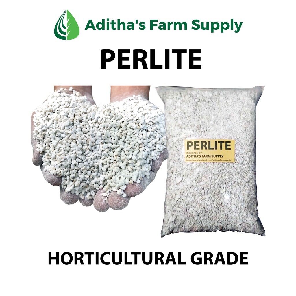 Horticultural Grade Perlite (Premium Quality) Excellent for Aeration ...