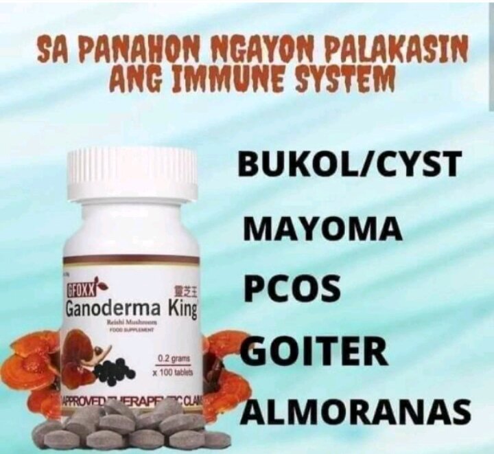 1 BOTTLE GFOXX GANODERMA KING TABLET AUTHENTIC SOLD BY GODs LOVE SHOP ...