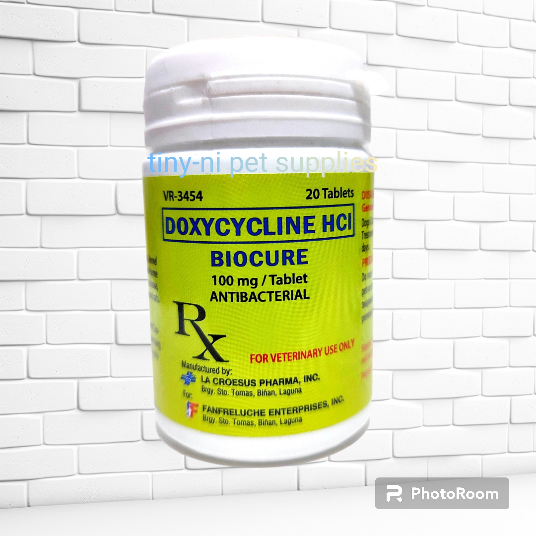 Biocure Tablet for Dog and Cat|Sold Per Tablet For Respiratory ...