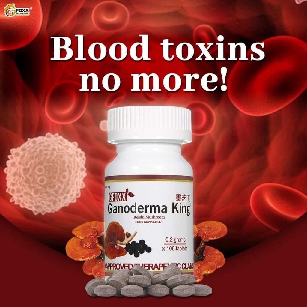 GFOXX GANODERMA KING | Lazada PH