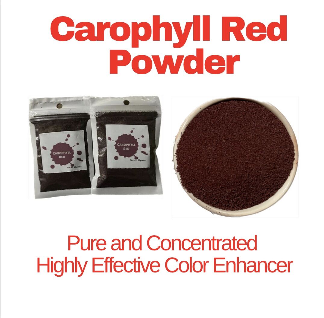 Carophyll Red 10grams | Lazada PH