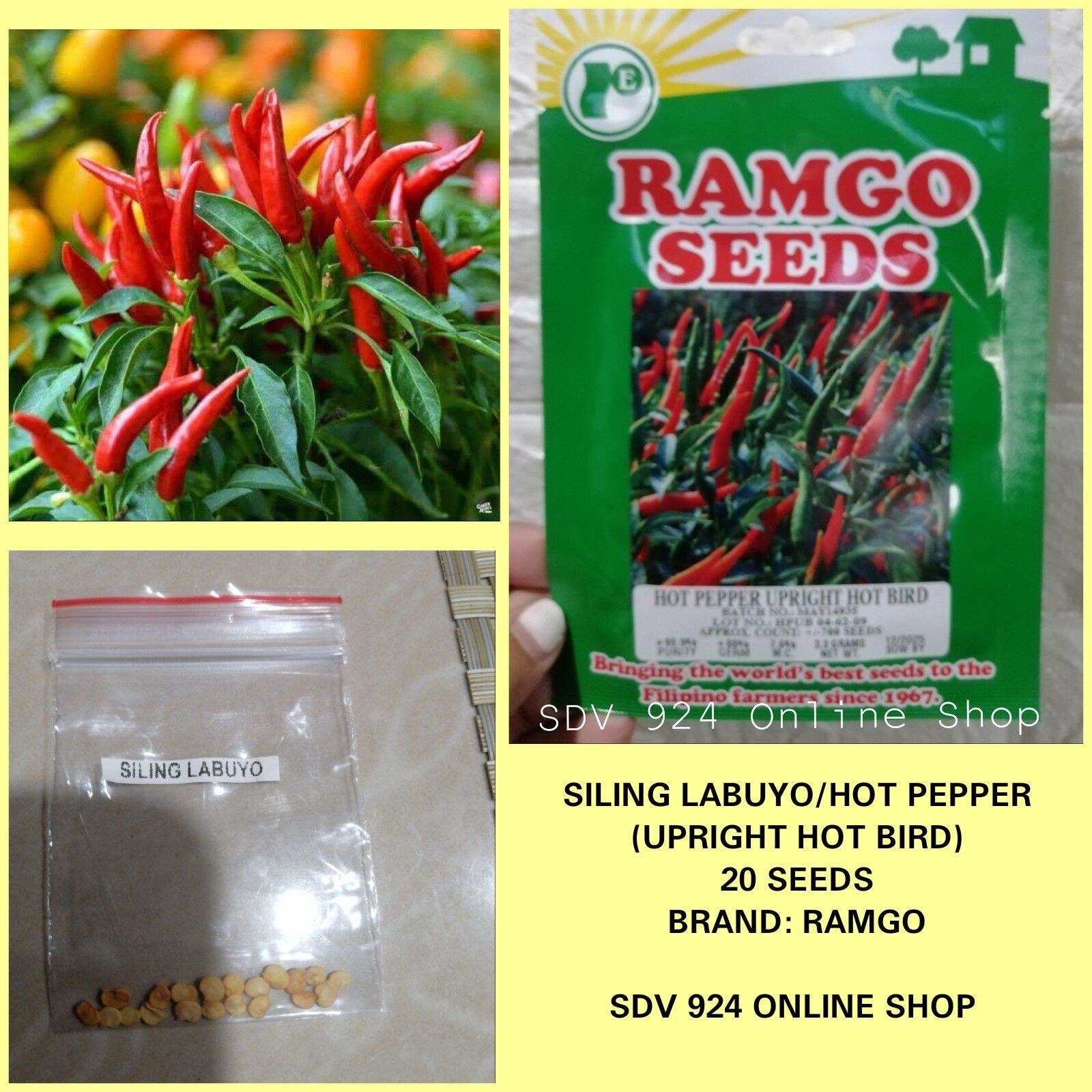 Easy to Grow VEGETABLES SEEDS BY RAMGO, Okra, Talong, Kangkong, Pechay ...