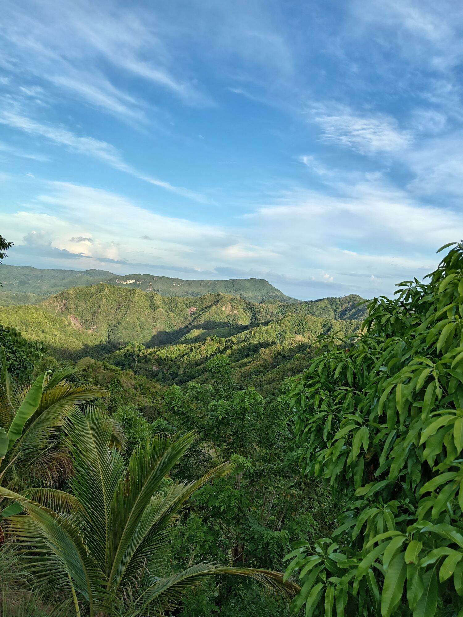 EPL Collection Philippines Official Online Store | Shop Now on Lazada