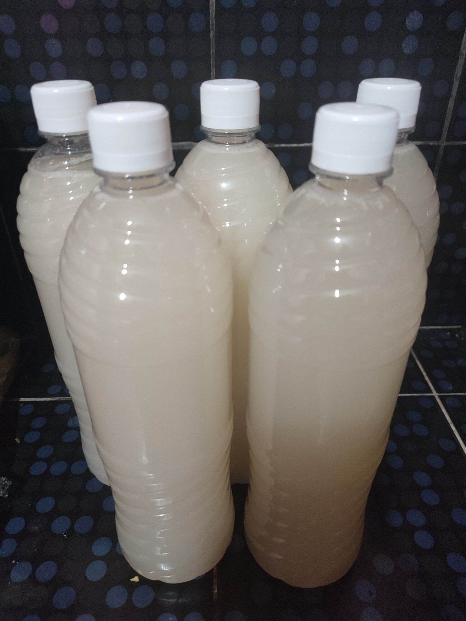 101% 1L PURE SUKANG TUBA FROM BONGABONG, ORIENTAL MINDORO | Lazada PH