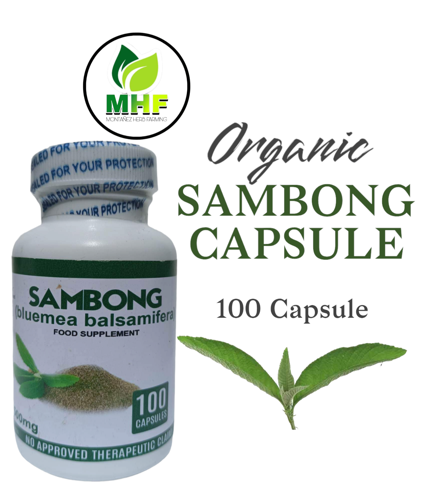 AUTHENTIC SAMBONG CAPSULE 100 CAPSULES/500mg | Lazada PH