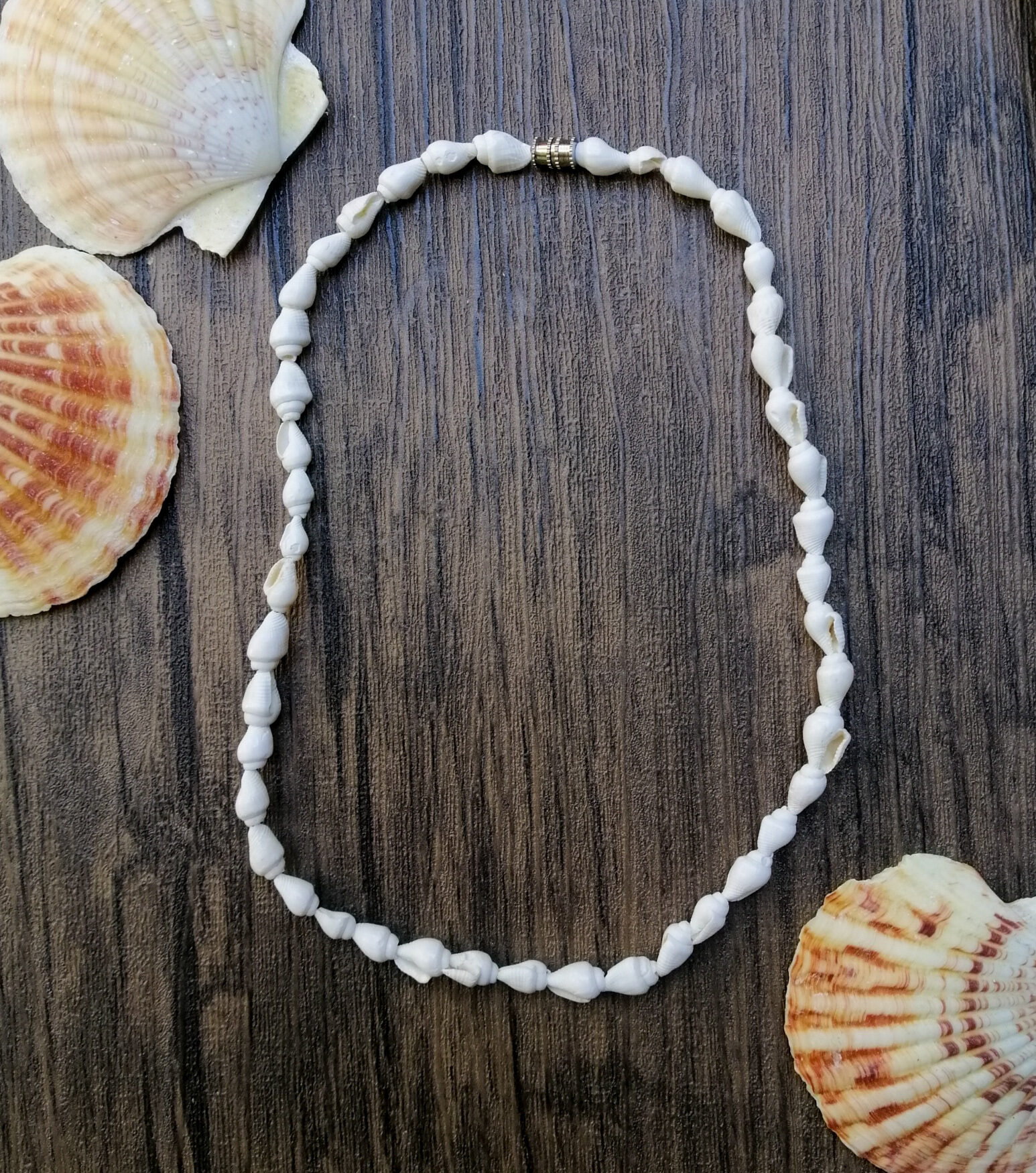 Natural Sea Shells Necklace Choker Style Fashion Accessories | Lazada PH