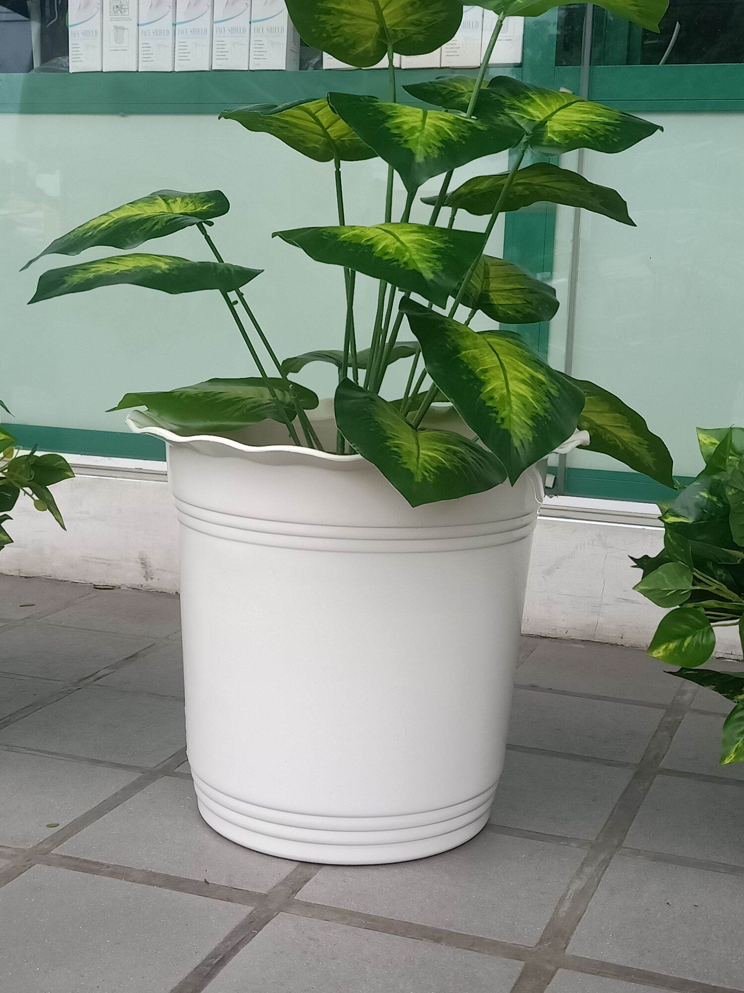 BB Pots All Sizes | Lazada PH