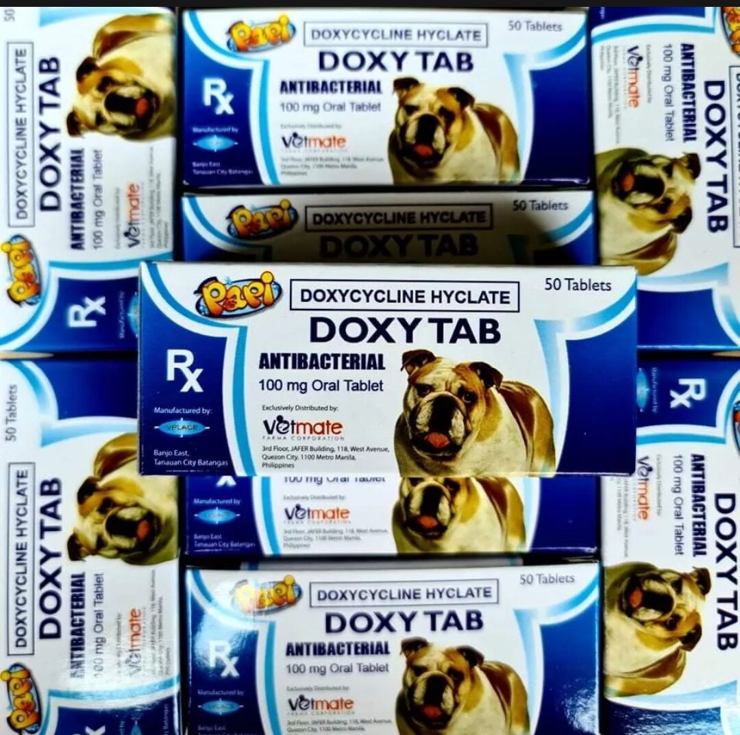 Papi Doxy tablet ( 10s & 50s ) | Lazada PH