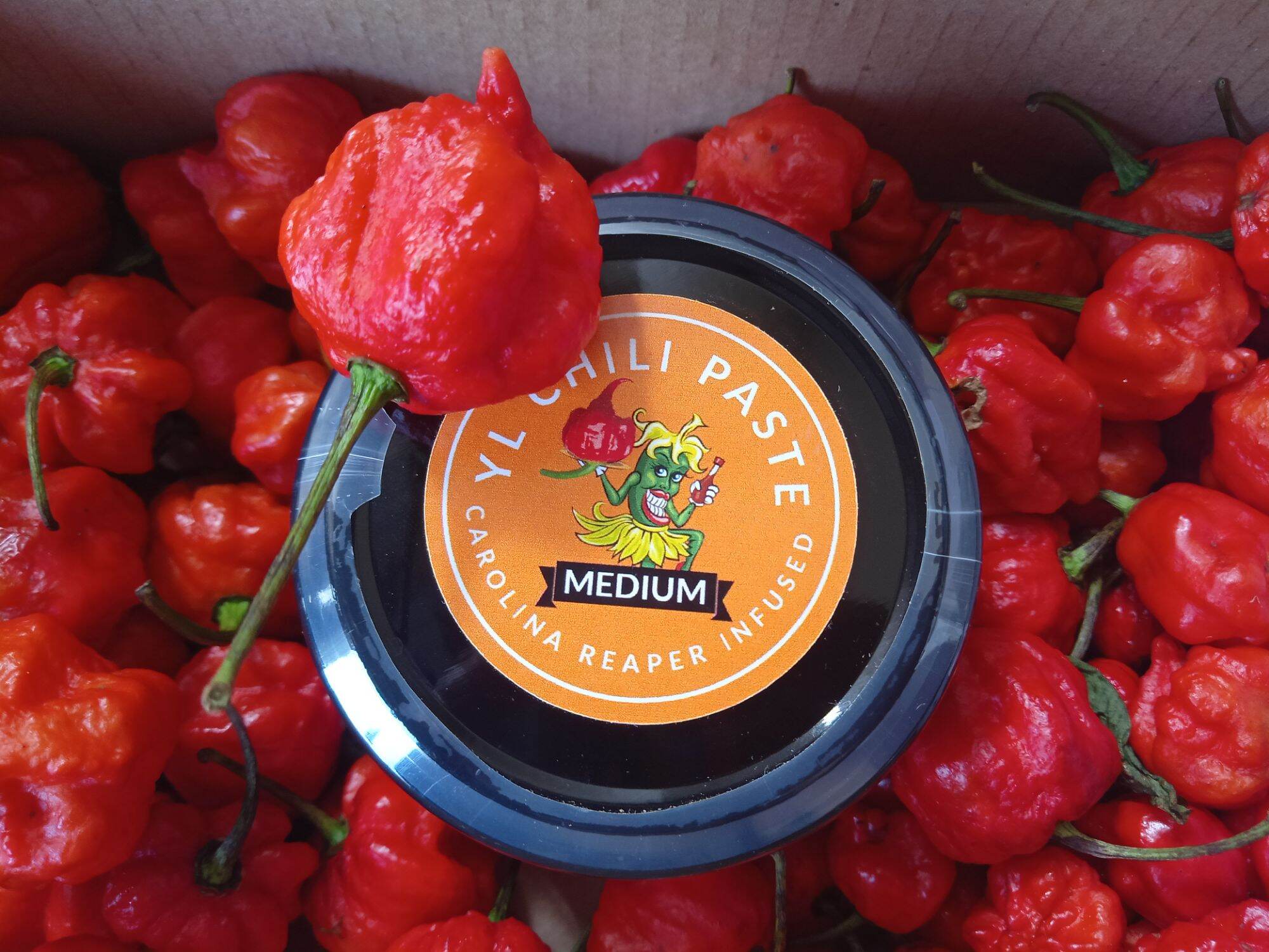 YL Chili Garlic Paste Carolina Reaper Infused | Lazada PH