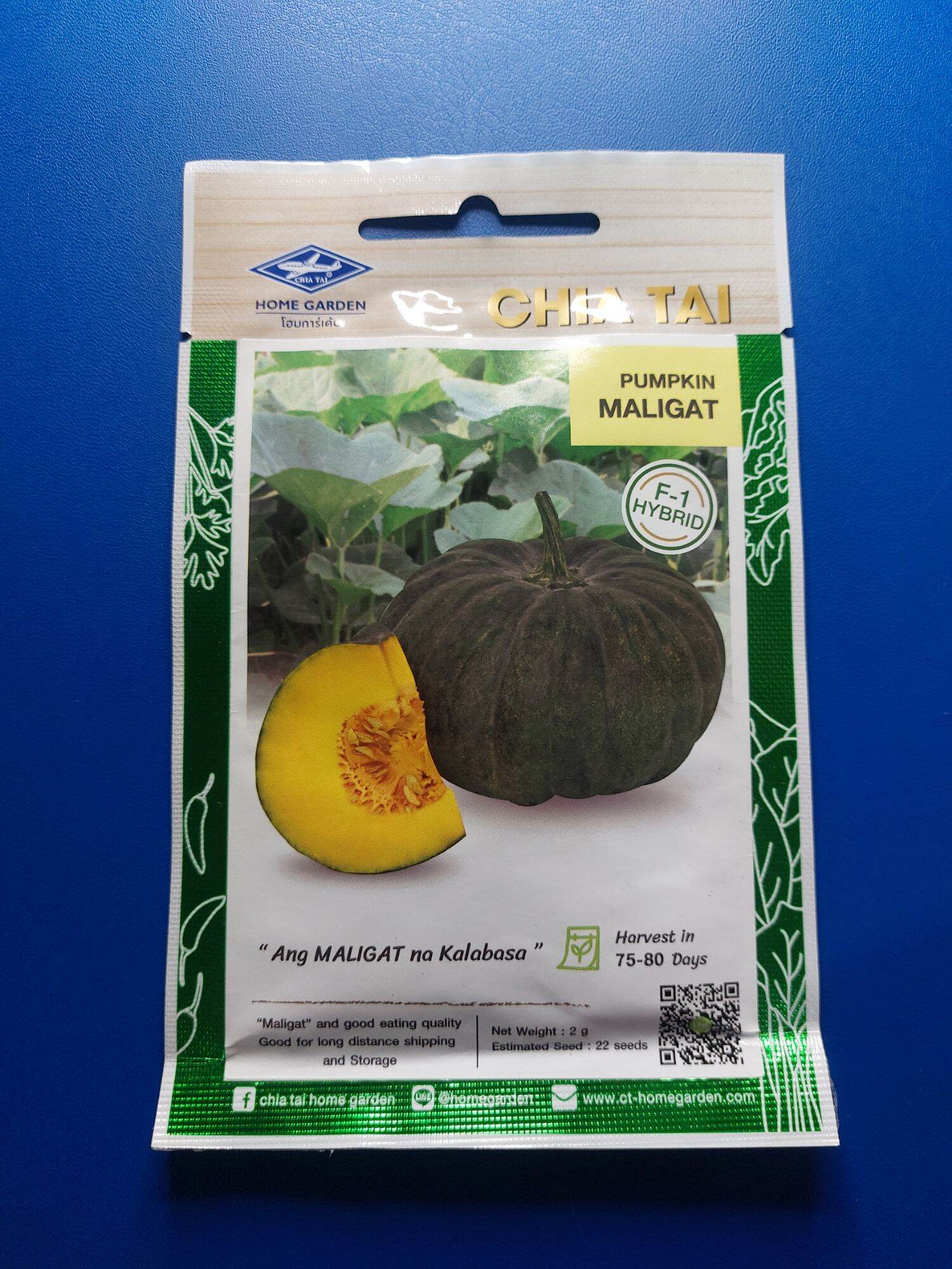 Maligat F1 (2 grams) hybrid Kalabasa / Calabasa by Chia Tai | Lazada PH
