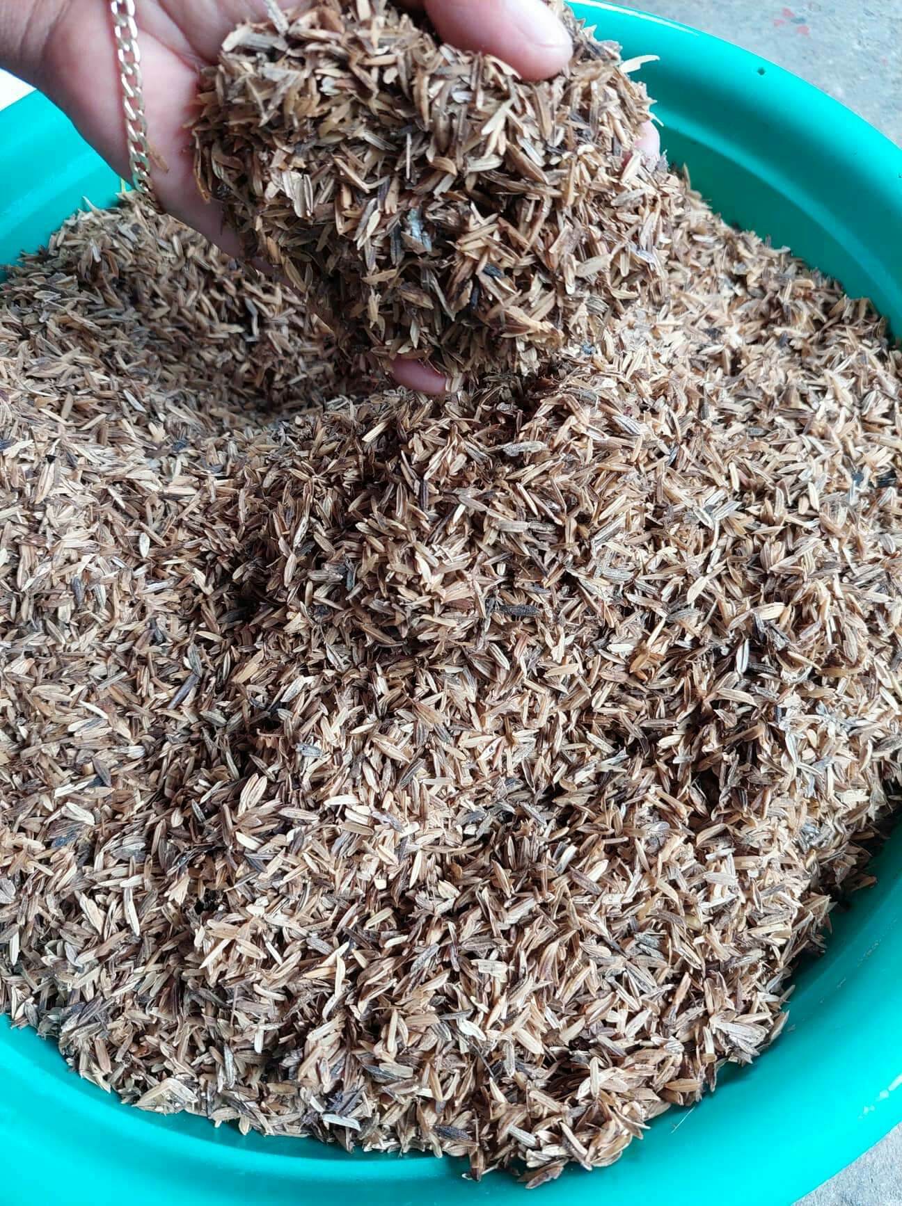Ipa ng palay | pure rice hull | para sa mga halaman | 1/2 kilo | Lazada PH