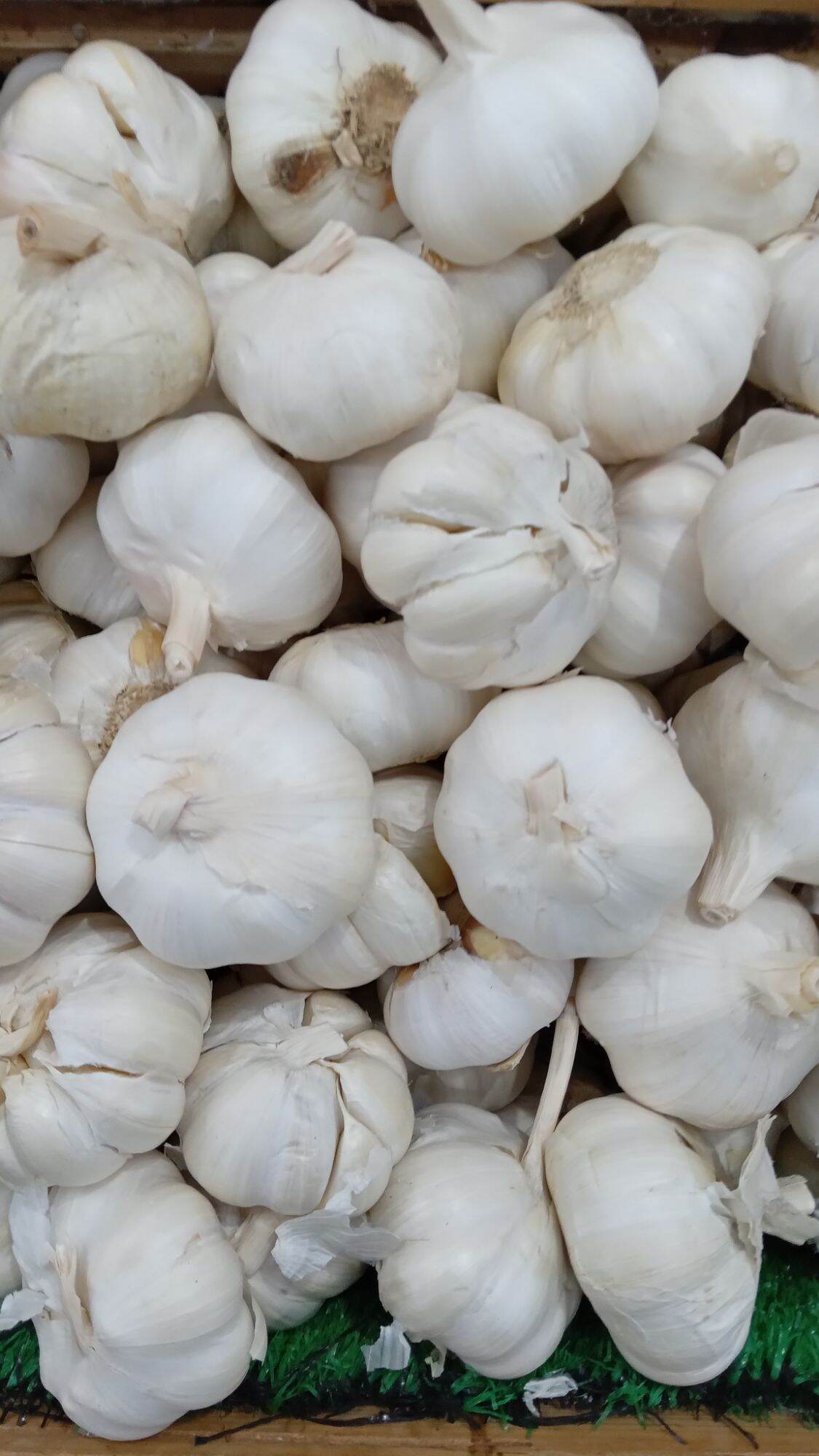 garlic 1 kilo per pack | Lazada PH