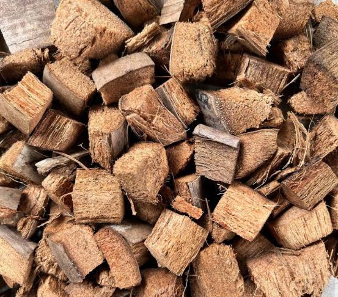 Coconut Husk Cubes x 1kg | Lazada PH