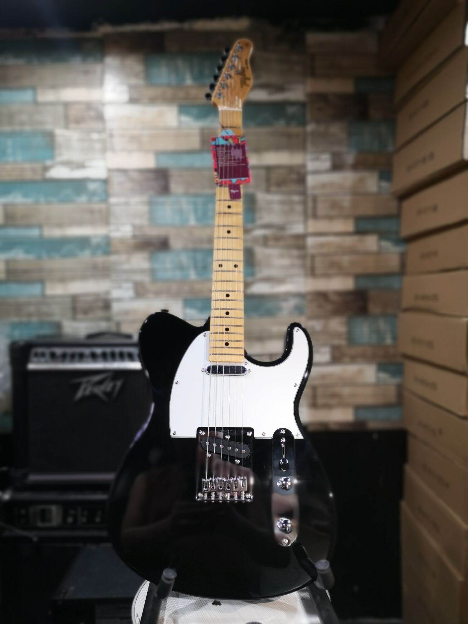 Tagima TW-55 Telecaster | Lazada PH